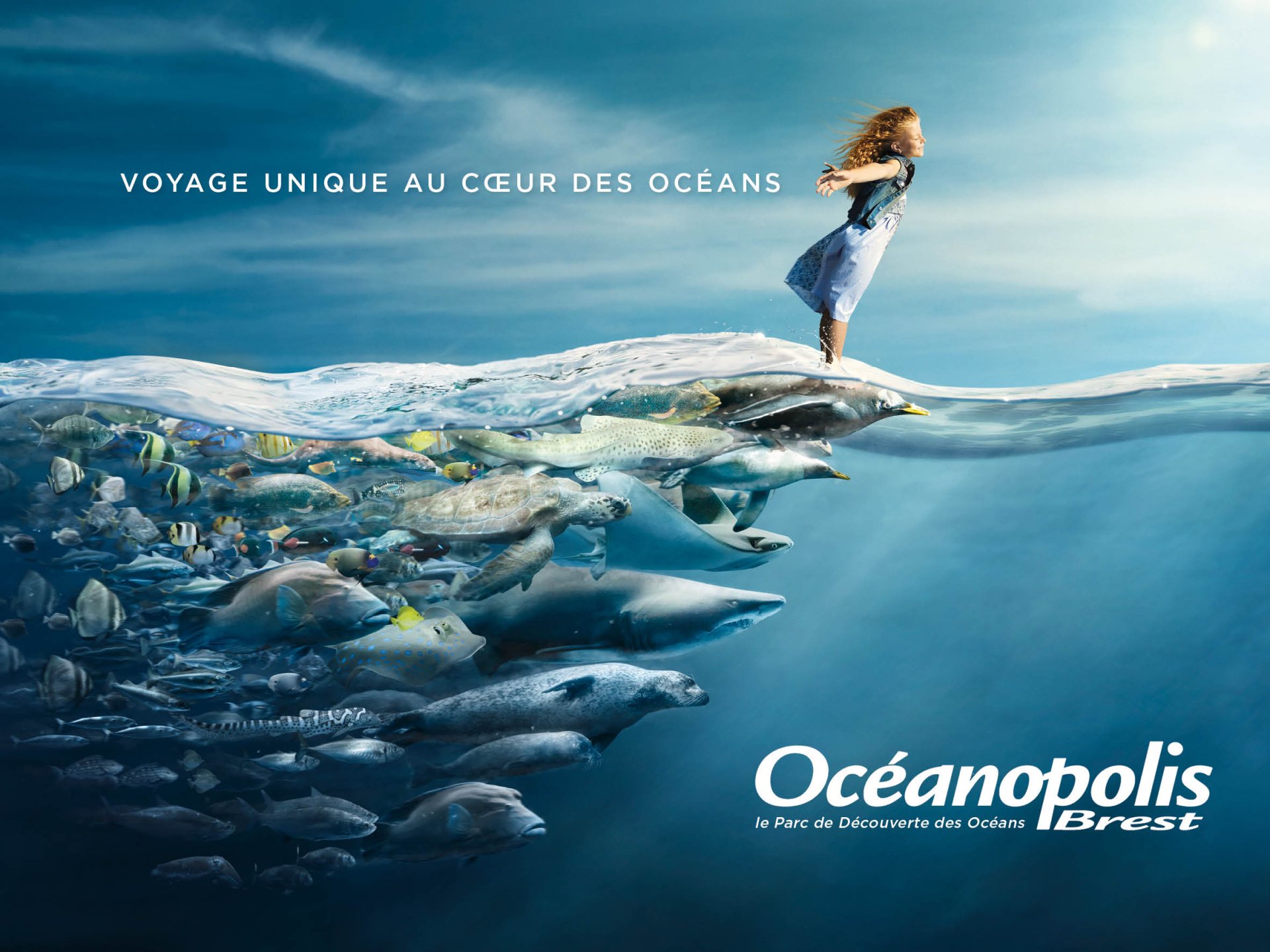 Sortie pédagogique à Océanopolis pour les 5 classes de Quatrième ...
